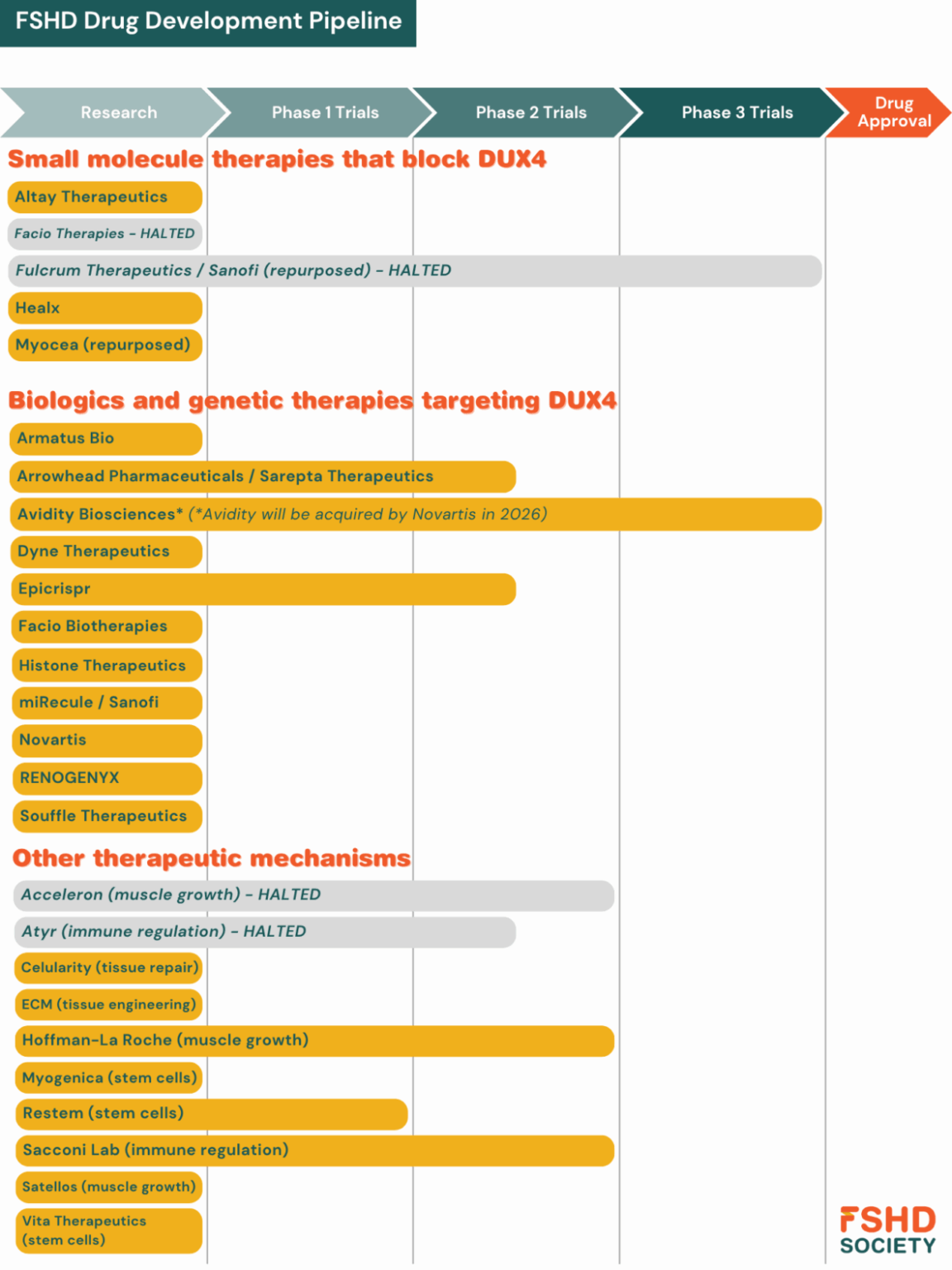 Drug Development Pipeline - FSHD Society